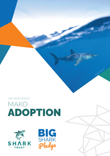 Mako Shark Adoption (Digital) – The Shark Trust