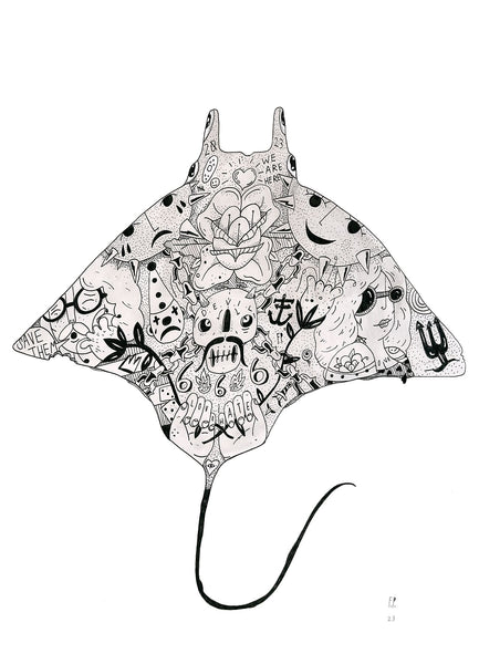 Bentfin Devil Ray – The Shark Trust