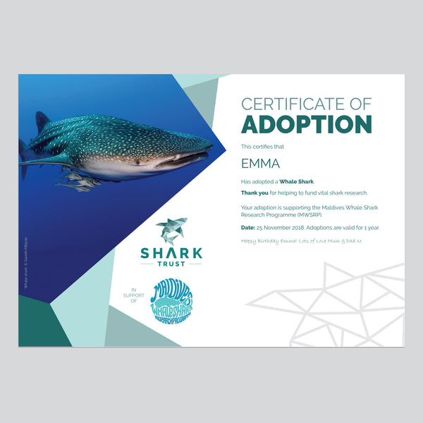 Whale Shark Adoption – The Shark Trust