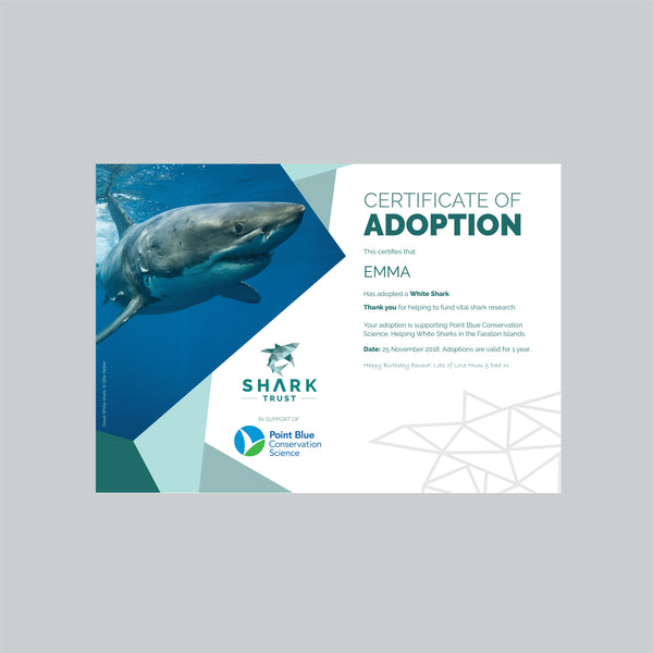 Great White Shark Adoption – The Shark Trust